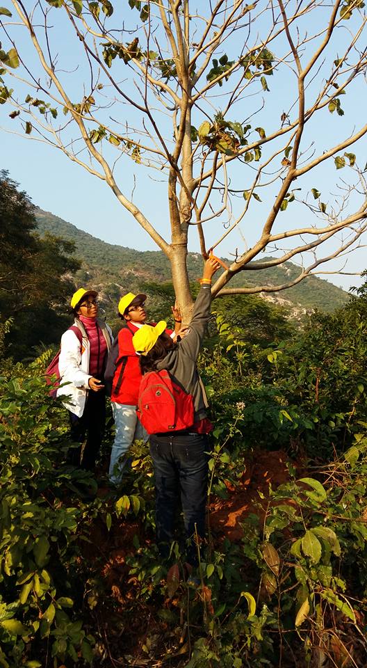 Adventure Camp, 2015 - Soma's Camps