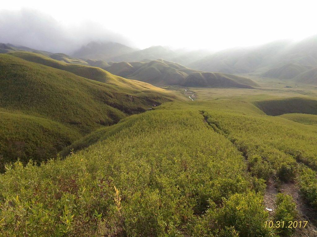Dzukou Valley Trek - Nagaland - Soma's Camps