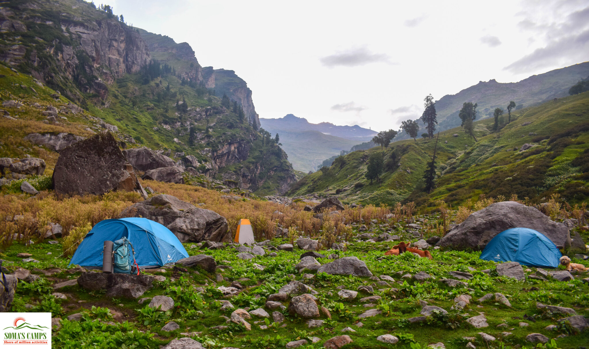 Shore of Million Activities - Soma's Camps